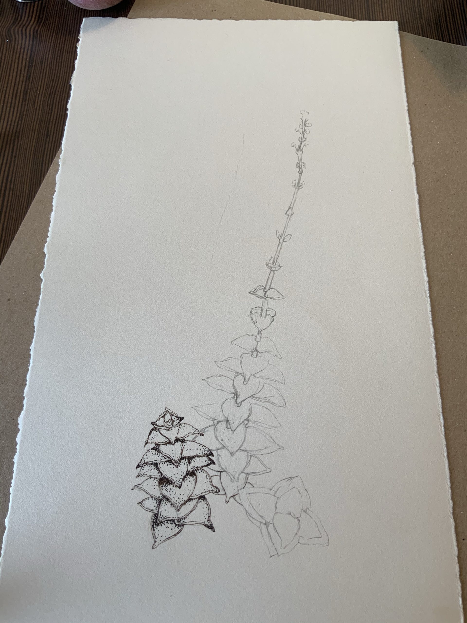 Inky Dinky Do | California KD Did