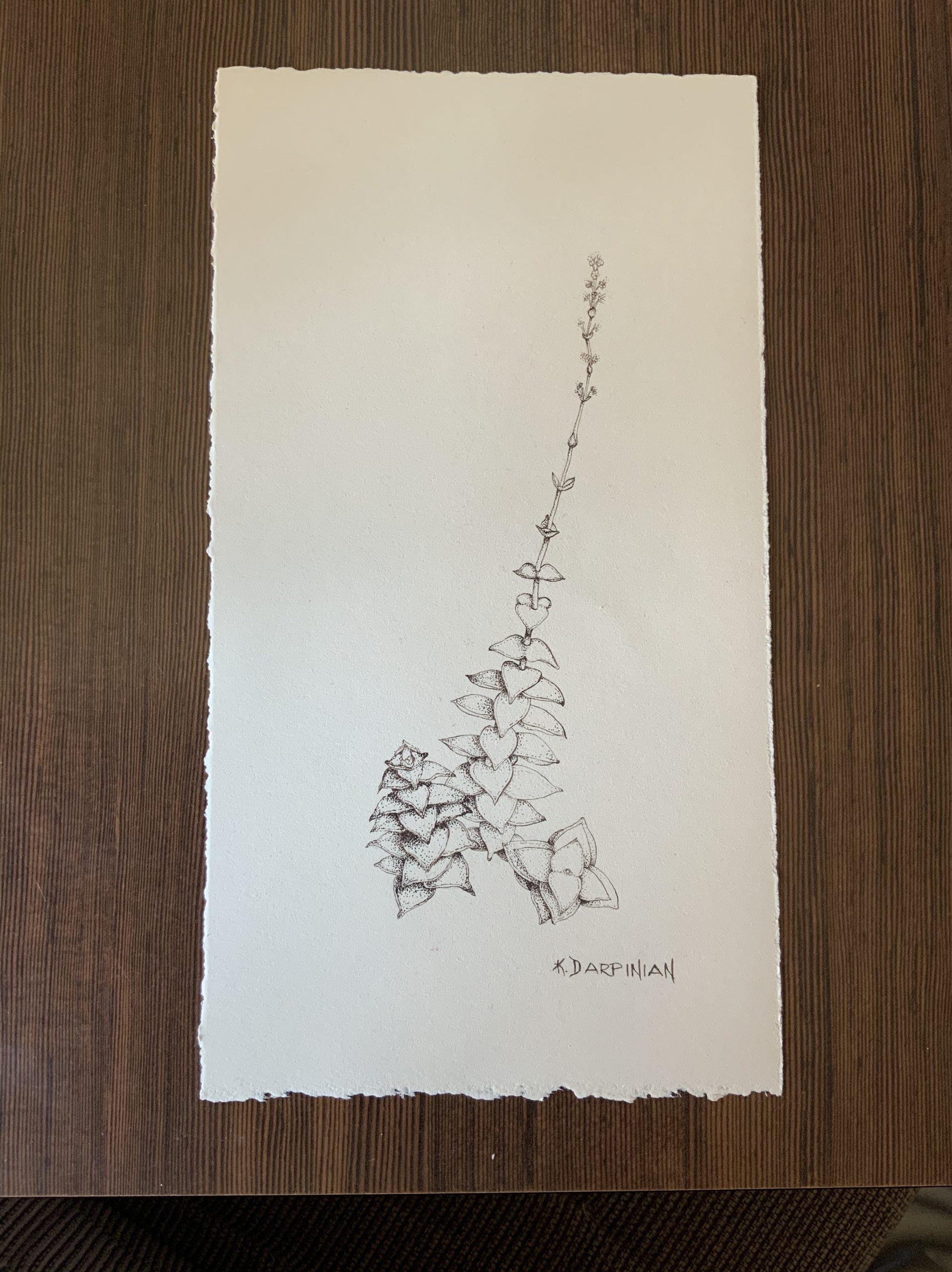 Inky Dinky Do | California KD Did